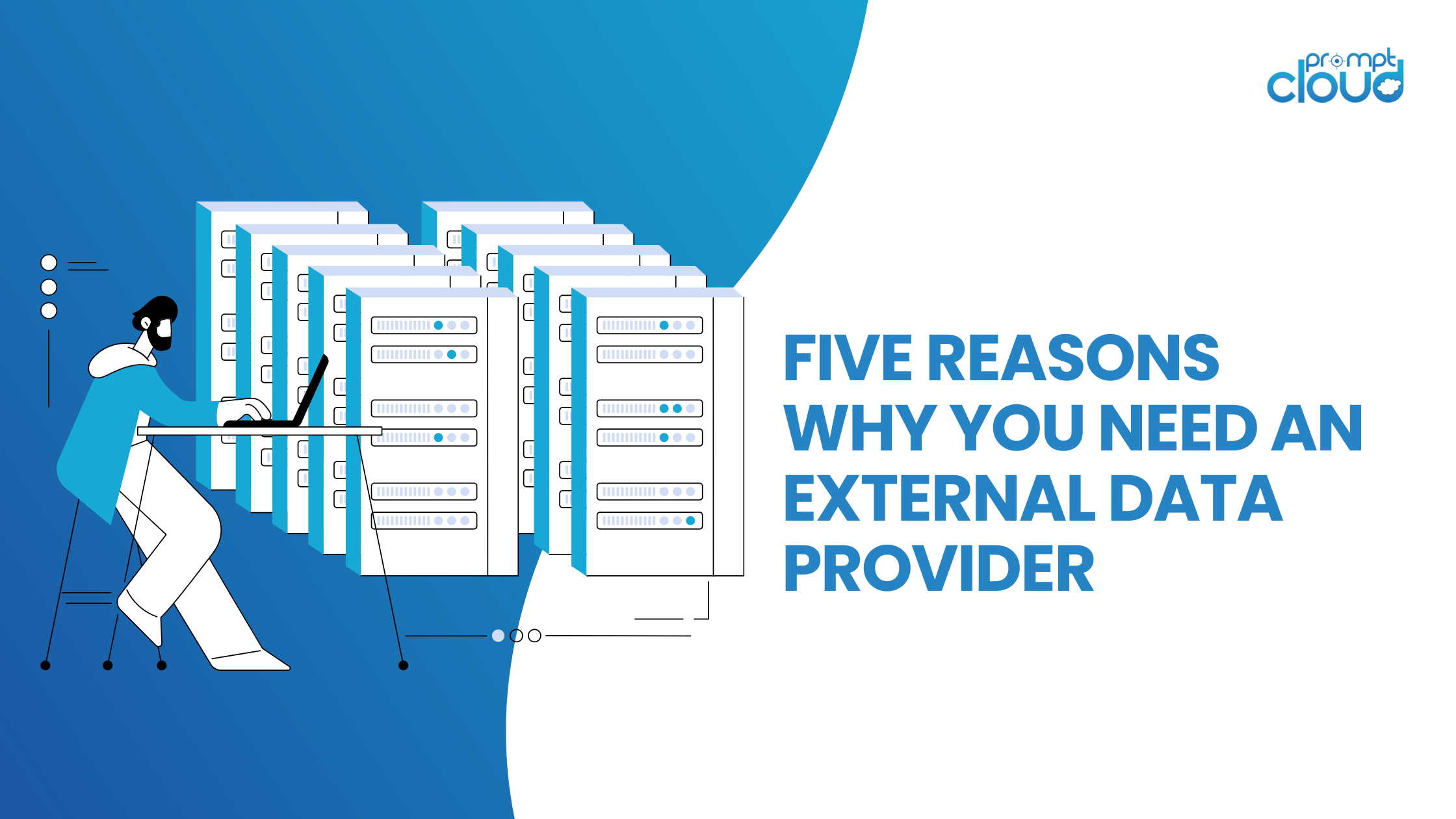 Why Your Business Needs an External Data Provider?