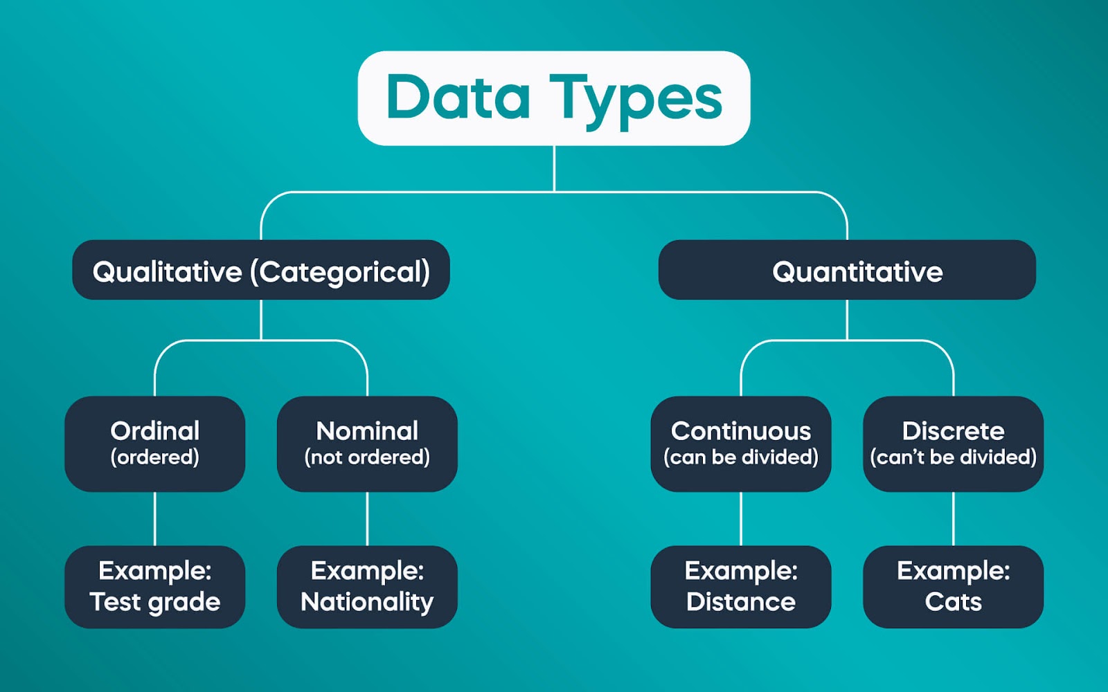 What Is a Data Set? Definition, Structure, and Use Cases